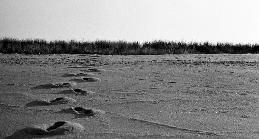 Open-PM: Cui bono? - Marcus Raitner